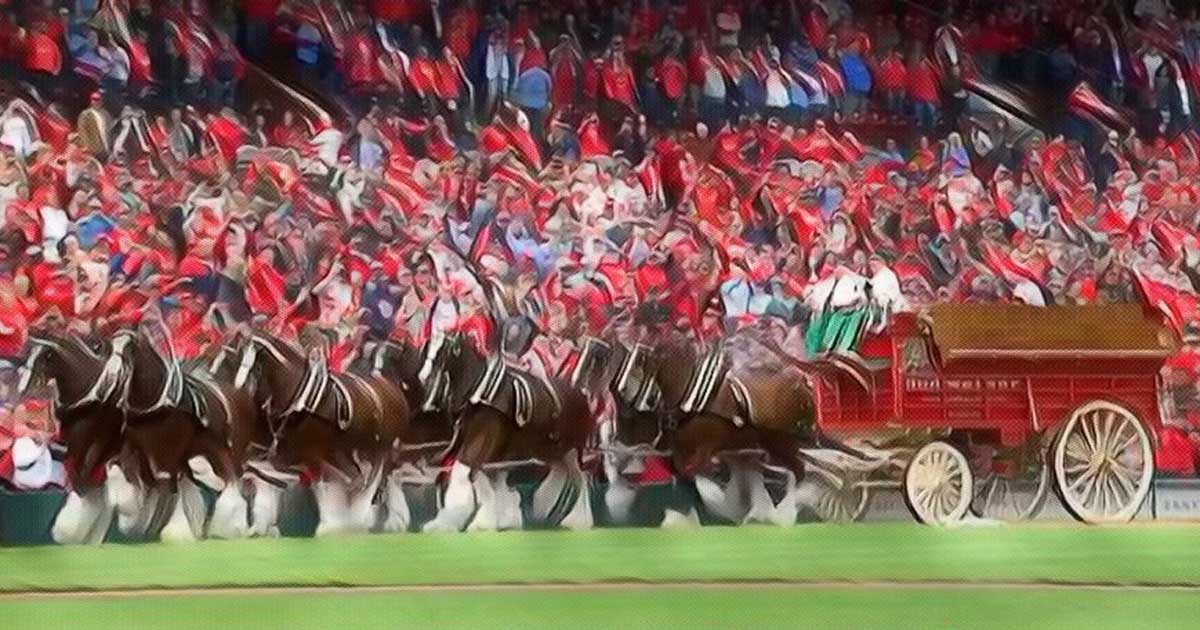 How Anheuser-Busch kept the Cardinals from leaving St. Louis in 1953